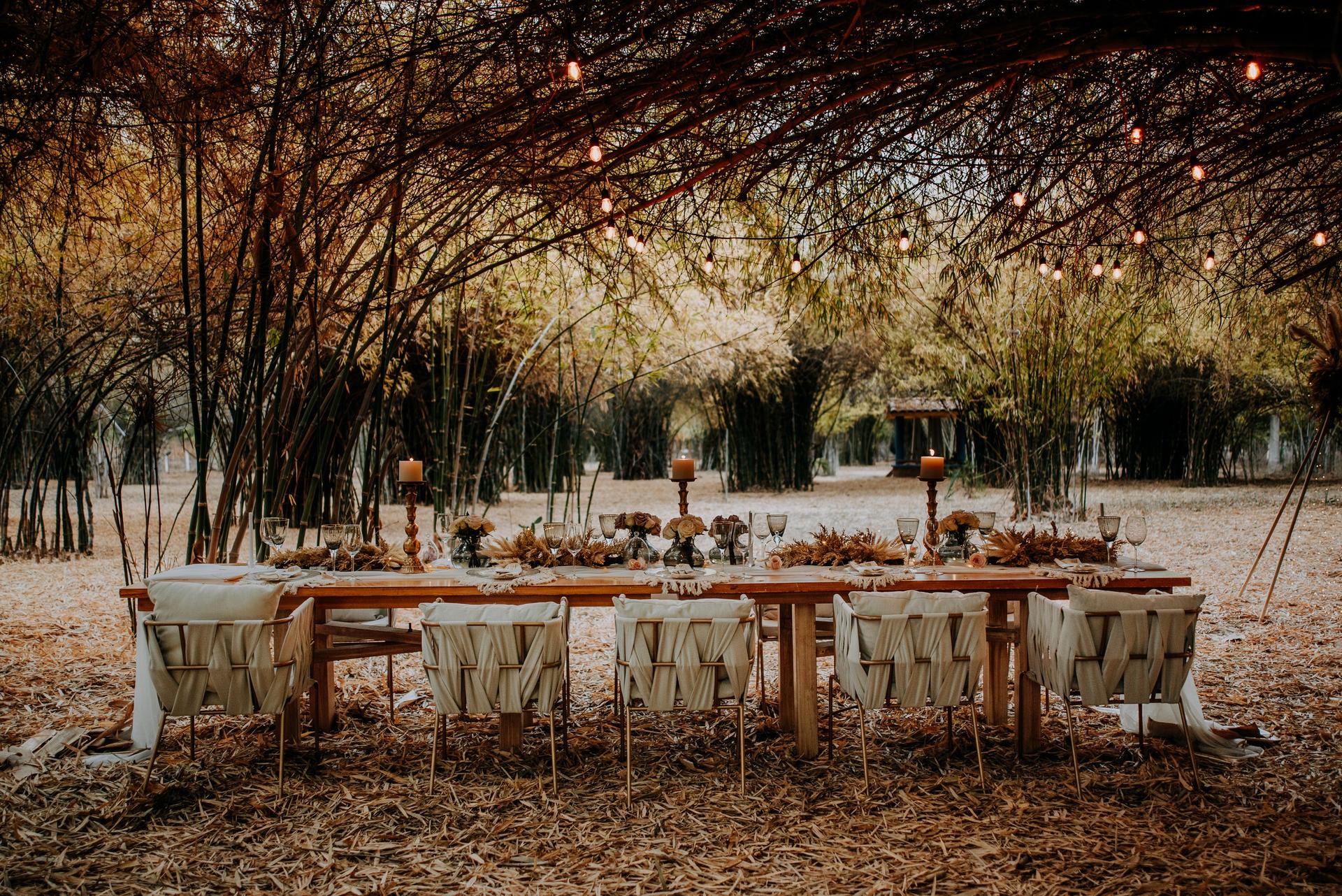 Boda en un bosque - bodas.com.mx
