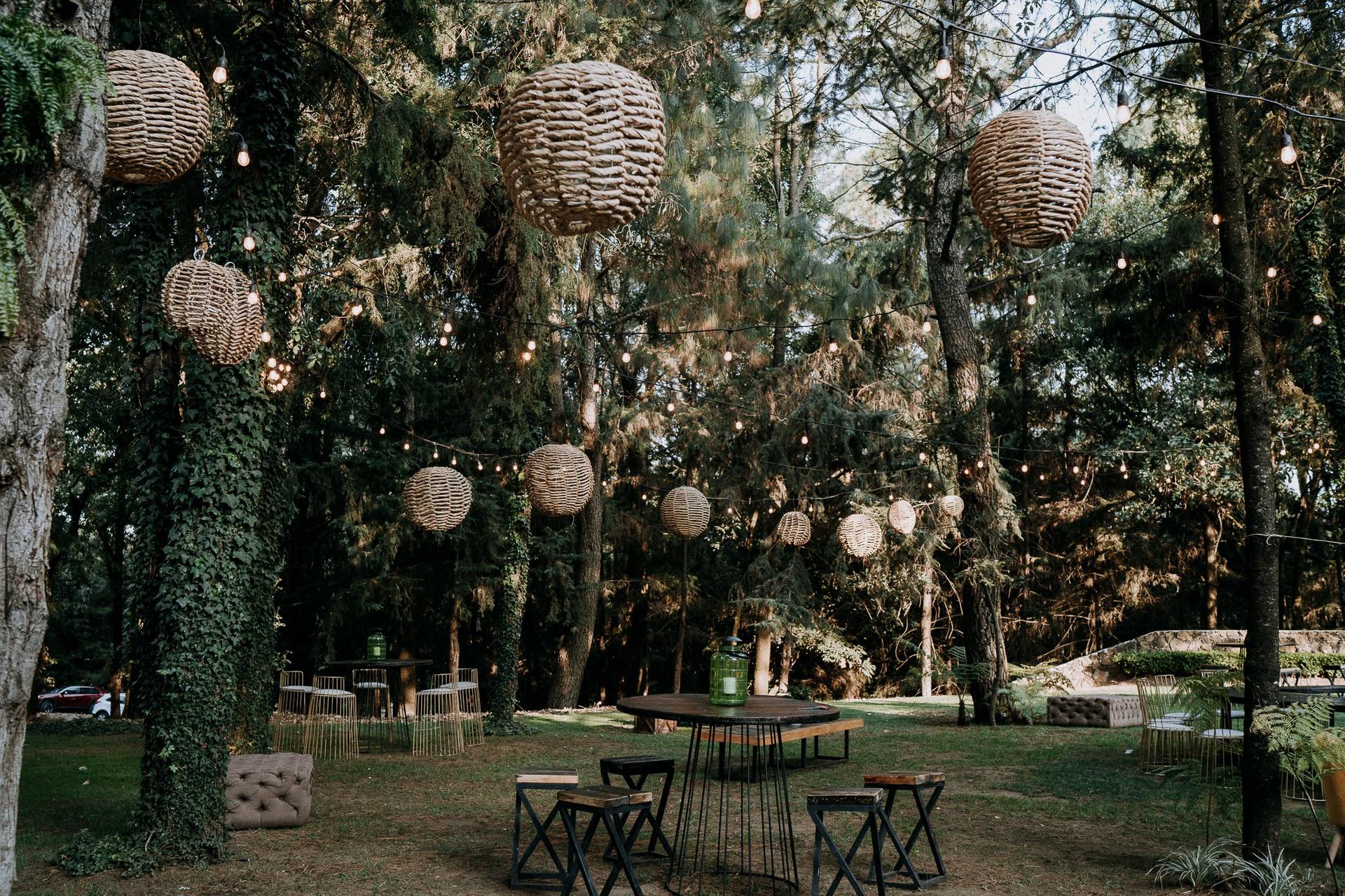Boda en un bosque - bodas.com.mx