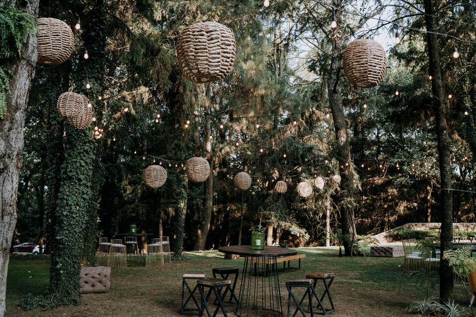 Boda en un bosque - bodas.com.mx