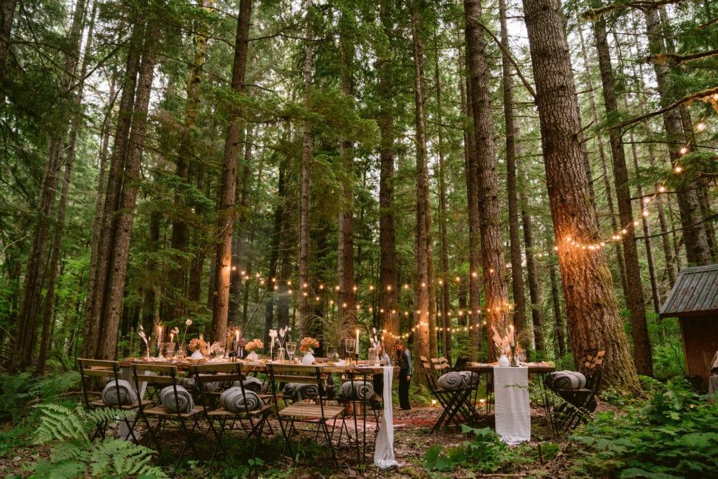 Boda en un bosque - bodas.com.mx