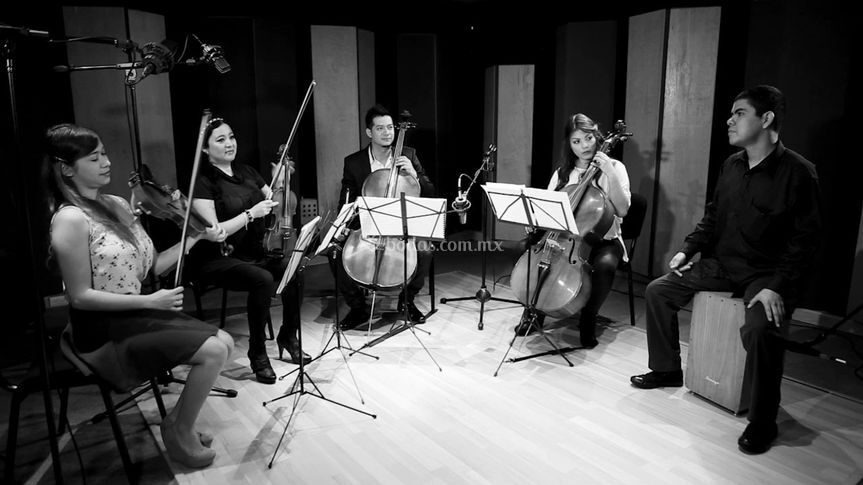 Tempus Quartet