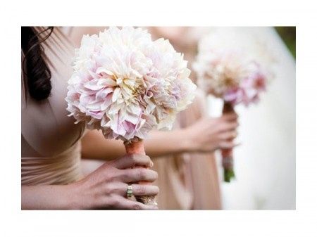 Boda en color nude Inspiración Foro Organizar una boda bodas mx