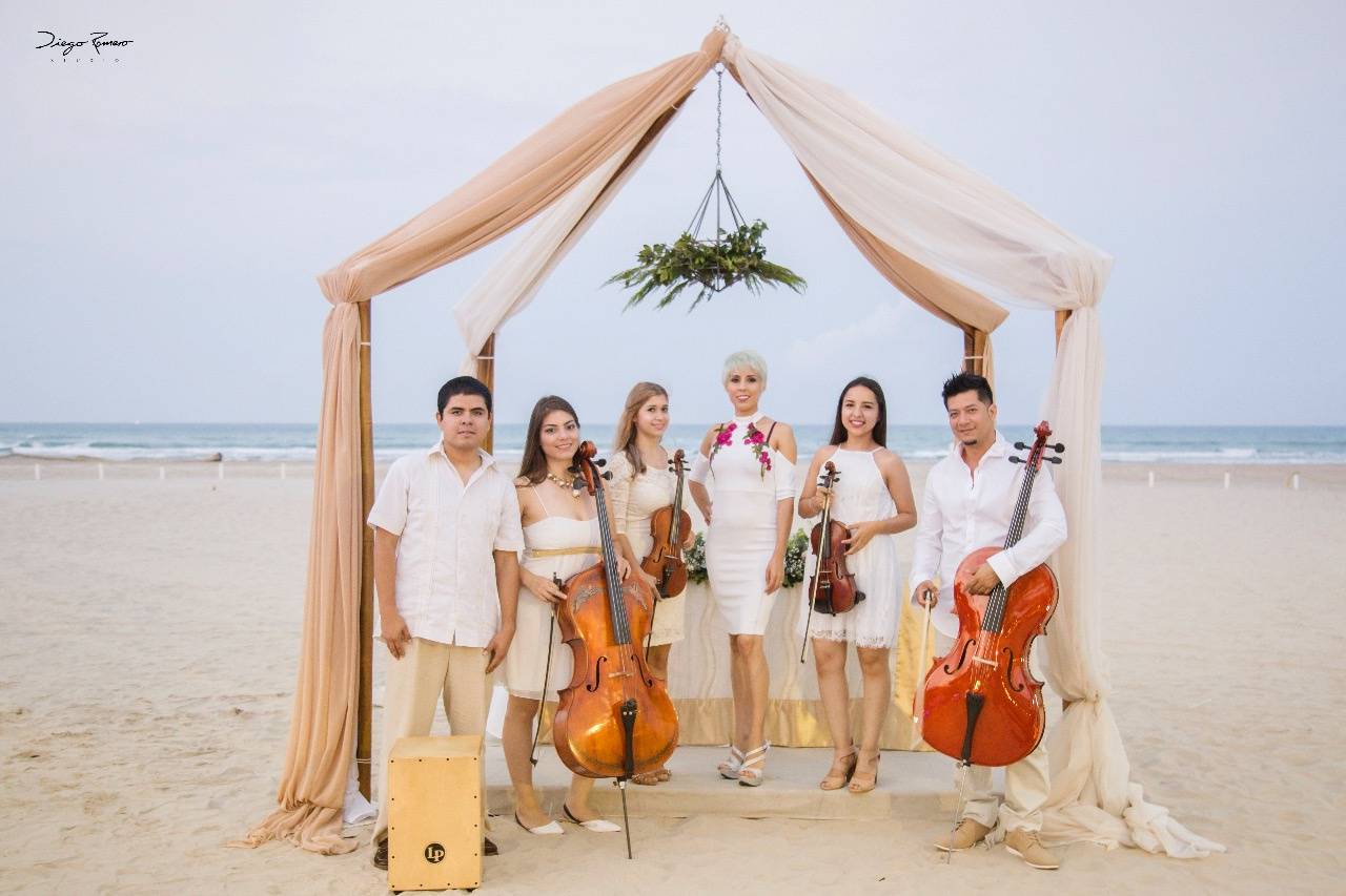 Tempus Quartet - Consulta disponibilidad y precios