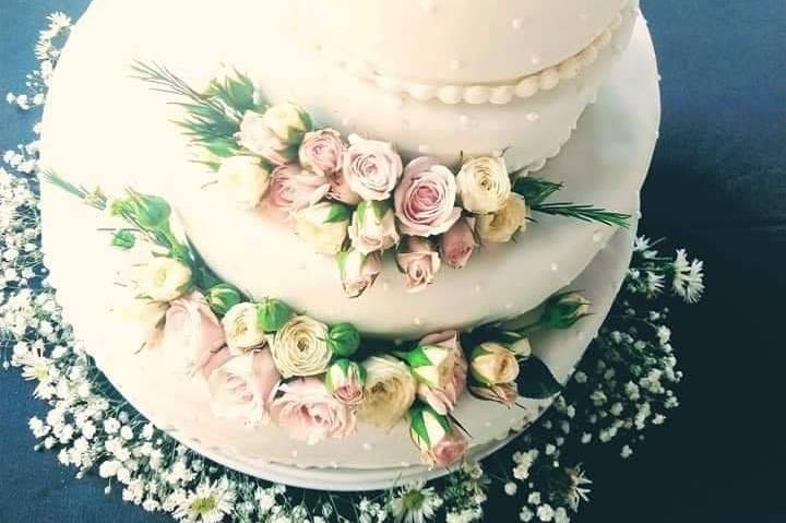 Miranda's Cakes - Consulta disponibilidad y precios