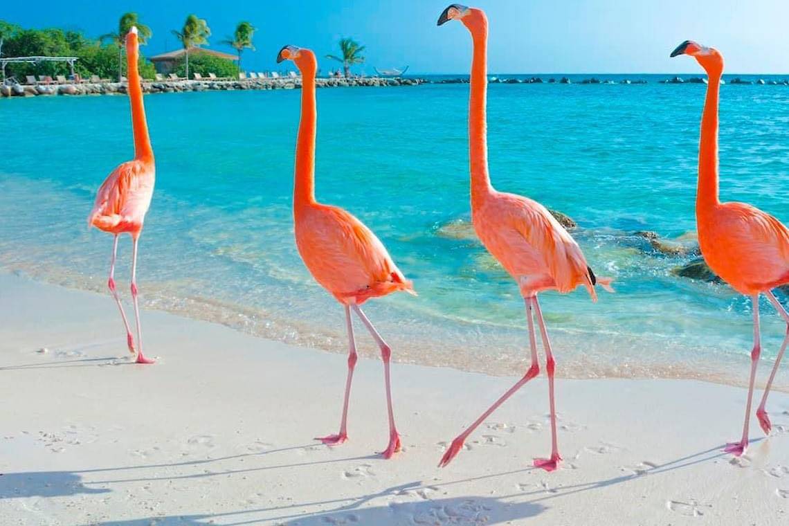 AB Travel - Consulta disponibilidad y precios